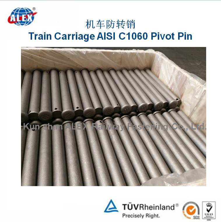 Pivot pin for Train carriage-铁路轨道配件｜非标紧固件｜火车机车配件｜桥梁隧道配件工厂-昆山艾力克斯铁路配件有限公司
